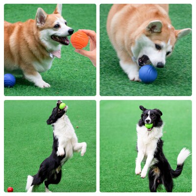 Pet Dog Toys Dog Ball Dog Bouncy Rubber Solid Ball Resistanc
