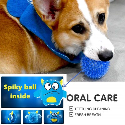 Squeaker Interactive Dog Toy Balls for Small Dogs Play Bite