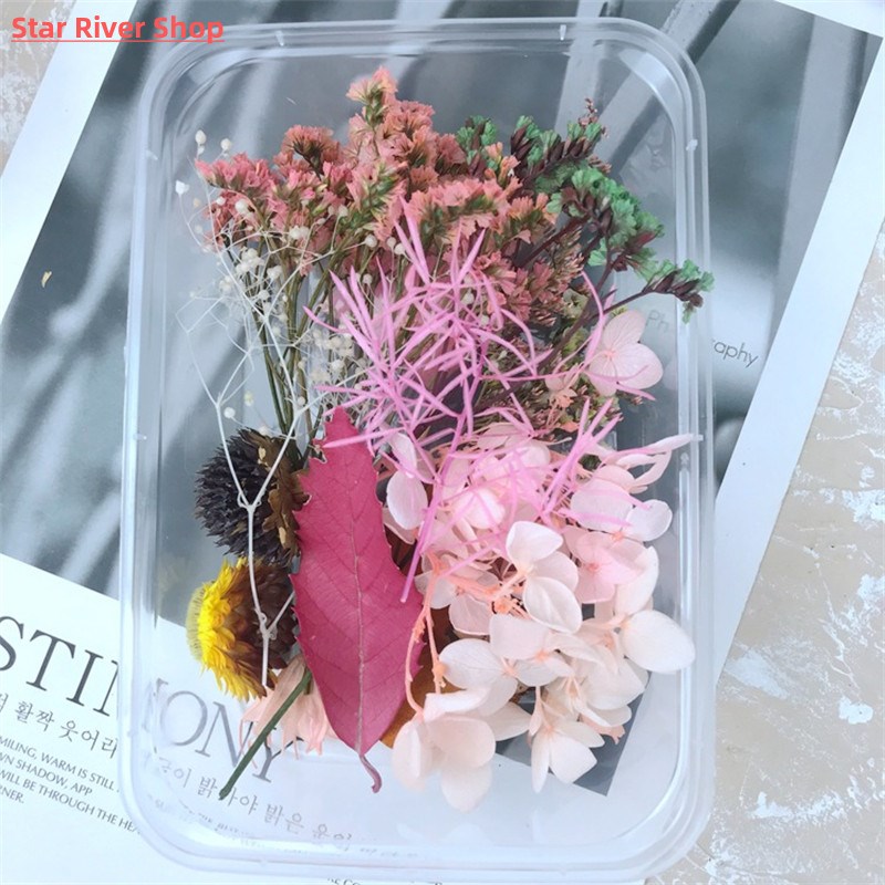 30g/box Dried Flowers for Resin PreservedFreshFlower Dried P
