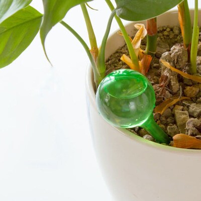 5pcs Automatic Plant Self Watering Water Feeder Plastic PVC