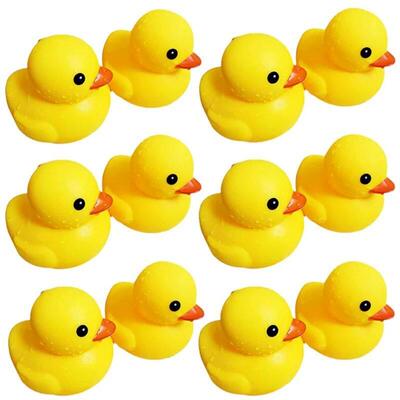 BathDuckToys12PCSY