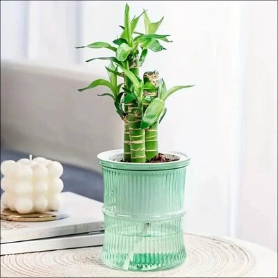 Lazy Hydroponic Flower Pot Automatic Water-Absorbing Flowerp