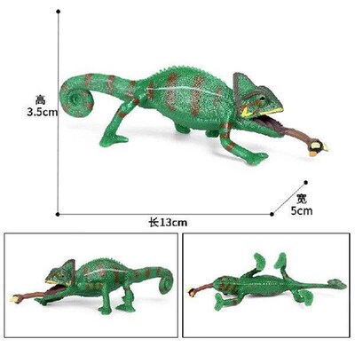 Simulation Reptile Animals Model Solid Lizard Phrynosoma