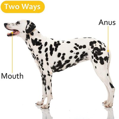 Pet Veterinary Thermometer Animal Temperature Monitor Digita