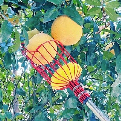 1 Pc Deep Basket Fruit Picker Head Convenient Fruit Picker