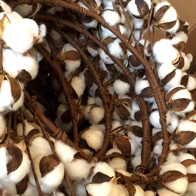 Recommended 80 Cotton Garlands In Stock, Cotton Dried Flower