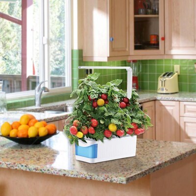 Multifunctional Indoor Herb Gardening Planter Kit Hydroponic