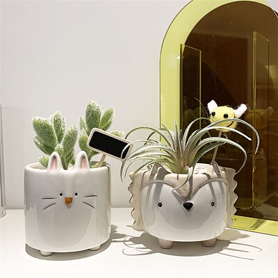 Cute Hedgehog Rabbit Ceramic Flowerpot Succulent Planter