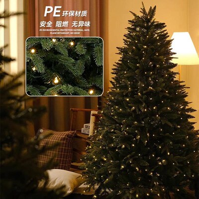 Christmas tree encryption with lights decorations圣诞树