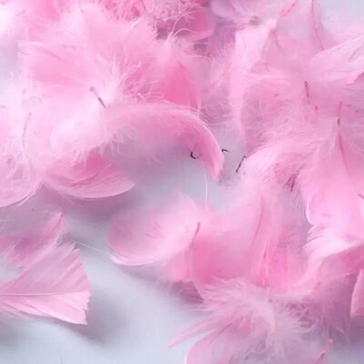 100pcs Colorful Feather Gift Box Filler Supplies Diy Craft W