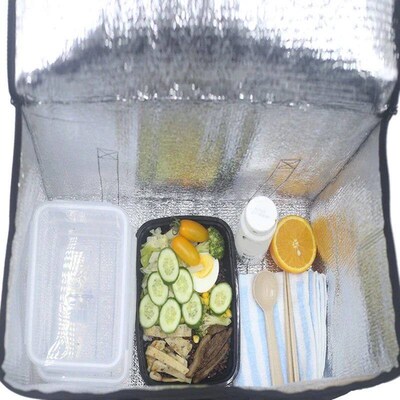 Waterproof Cooler Bag Picnic Inulated Lunch Box Foldable Ice