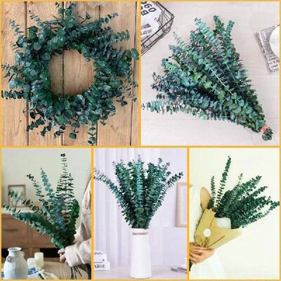 10 Pcs Real Leaves Hanging Dried Eucalyptus 22 inch Green