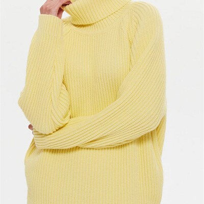 Solid Knitted Womens Turtleneck Sweater Pullovers Female Lo