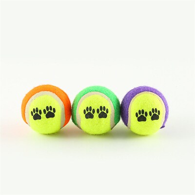 2023New Pet Tossing Club Dog Training Fluorescent Toy Ball T