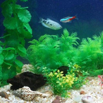 30cm Artificial Aquarium Underwater Plant Fish Tank Submersi