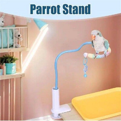 Bird Playground Parrot Stand Colorful Cockatiel Toys With