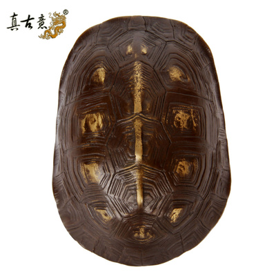 真古意 纯铜乌龟壳摆件文玩手把件铜龟壳六爻工具器具随身工艺品