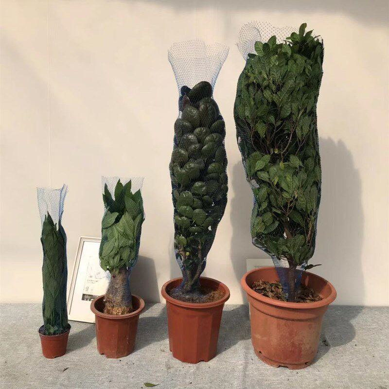 蓝色收缩网套绿植花卉收缩网套绿植套其它园艺用品网套植物打包用