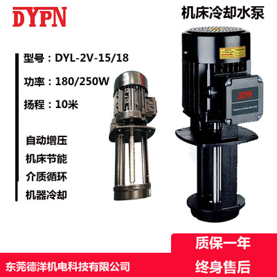 东莞DY2V机床磨床油泵单相220V三相380V180W250W机床专用水泵批发