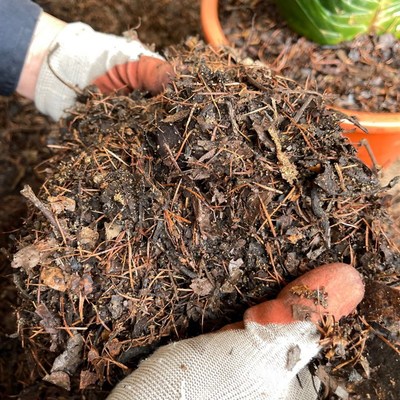 君子兰专用土兰花营养土植料腐叶炭粒松针老张头养兰配方土5.2斤