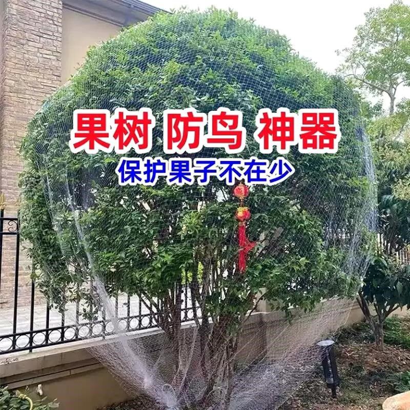 果树防鸟用的网农用防鸟丝网果园天网嘉宝果树防鸟罩子阳台防鸟网