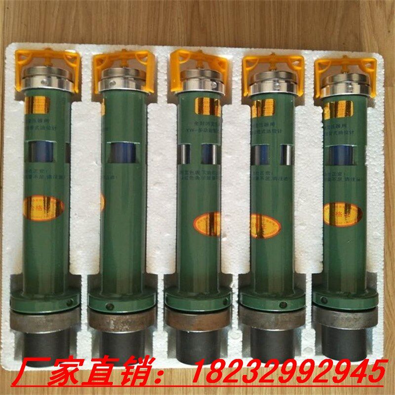 电力变压器配件管式油位计 YW型变压器油箱油位显示油位计 液位器