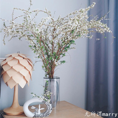 连翘鲜枝泡水开真花水养寸寸金枝插花瓶干树枝柳枝干花包遇水开花