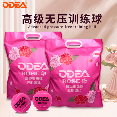 欧帝尔无压耐打训练网球