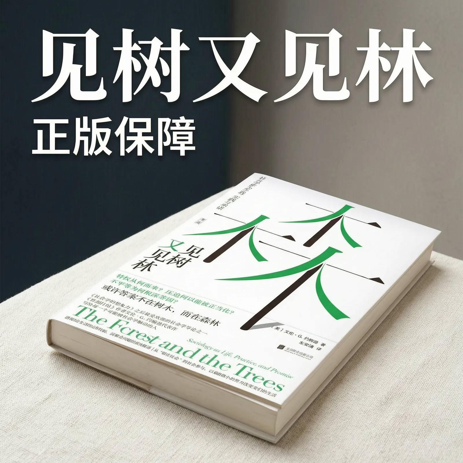 见树又见林正版社会学作为生活、实践与承诺 性别打结作者艾伦G约翰逊代表作 经典社会学入门书全新增订译本