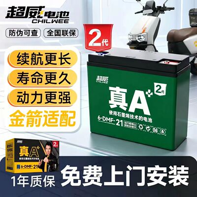 金箭电动车原装超威铅酸电池