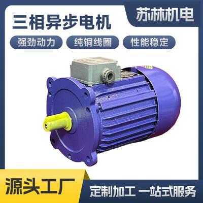 鼎益YS8024三相电机热收缩机烘箱磨浆机长轴循环风机750W长轴电机