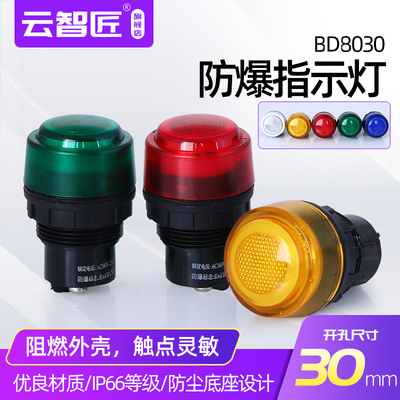 BD8030防爆防腐电源指示灯信号灯开孔30MM IP65防爆箱指示灯220V