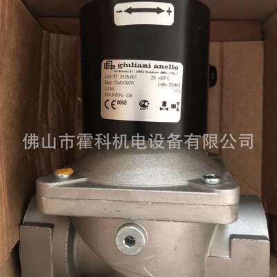 giuliani anello电磁阀GSAV322R(1 1/4),GSAV402R(1 1/2)