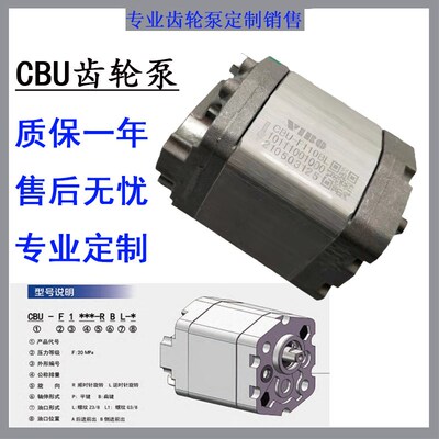 VIBO齿轮泵CBU-F1038/F1019/F1100/F1065/F1075/F1200/1065BL油泵