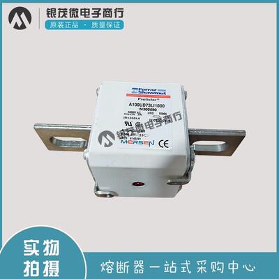 罗兰熔断器保险丝D73GB55V630TF/V302100 D73GB45V700TF/Y302218