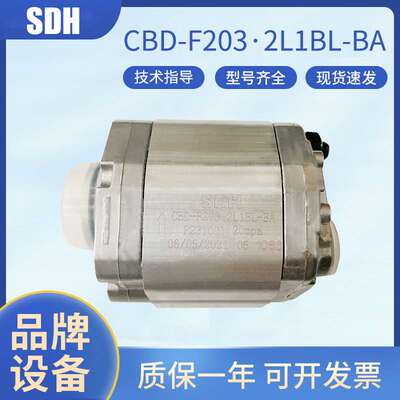 SDH液压齿轮油泵CBD-F201/F202/F203/叉车泵自卸车齿轮泵高压耐用