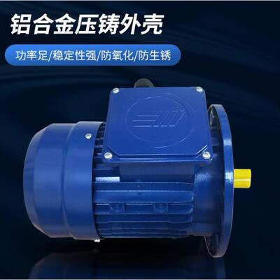 意大利MarelliMotori电机MOT.3~MAQ112M6B5