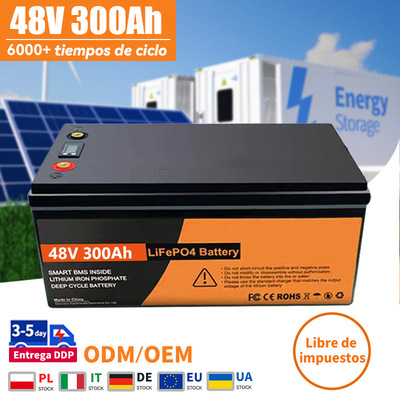 可充电LiFePO4电池48V/100Ah