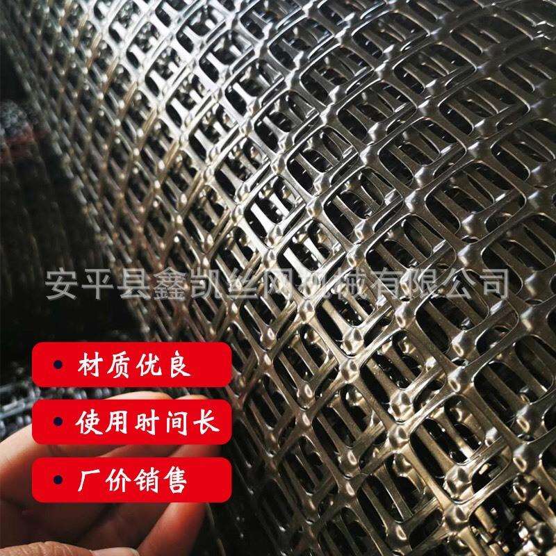土工格栅现货果园圈地塑料网农场养殖围栏网黑色方格屯粮围网护栏