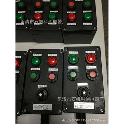 BZC8050 K1B1 A2D2防爆防腐操作柱LCZ8030 BEC56 BZC8060 FZC-S-.