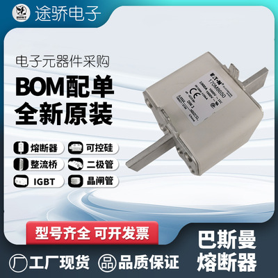 170M6301 170M6302 170M6303 170M6304 bussmann伊顿巴斯曼熔断器