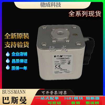 巴斯曼170M6393 170M6399 170M6408 厂价直销价格优惠 低压熔断器