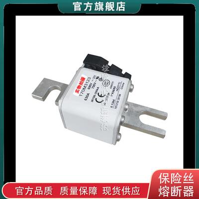 170M3188 3189 3190 3191 3192 巴斯曼bussmann快速熔断器保险丝