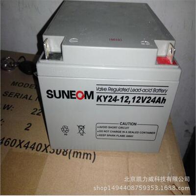 厂家直发SUNEOM新能蓄电池12V6H 12V24AH SH65-12多规格蓄电池