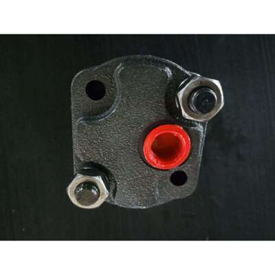 AP20 奥森德进口铝合金齿轮泵AP20.080.CGH701SN-001 进口液压泵