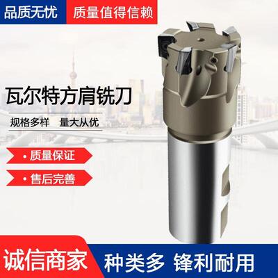 瓦尔特-Walte德国F4042.W25.025.Z03.11方肩铣