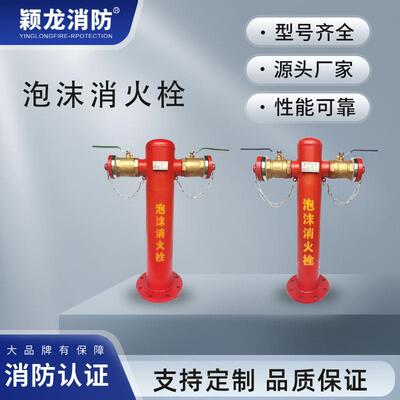 颖龙消防PS100泡沫消火栓水泡沫两用消防栓SSP100室外泡沫消防栓
