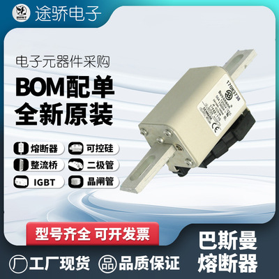 伊顿巴斯曼170M3742/3熔断器