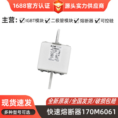快速熔断器170M4146/4260/4261