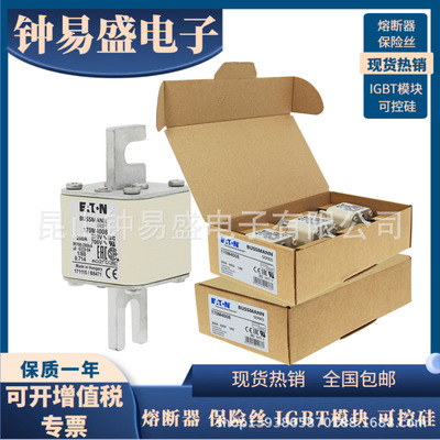 巴斯曼熔断器170M3266-3269